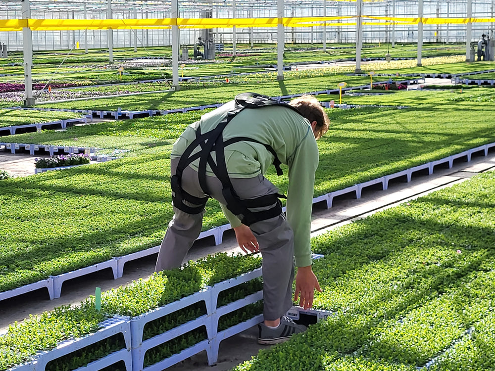 Skelex Edge: A Back Exoskeleton Designed to Naturally Strengthen Your